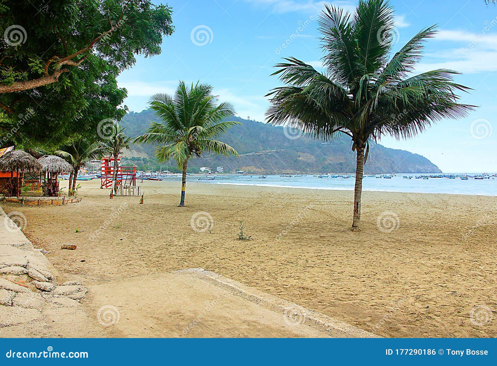 Playa tropical foto de archivo. Imagen de ecuador, paisaje - 177290186