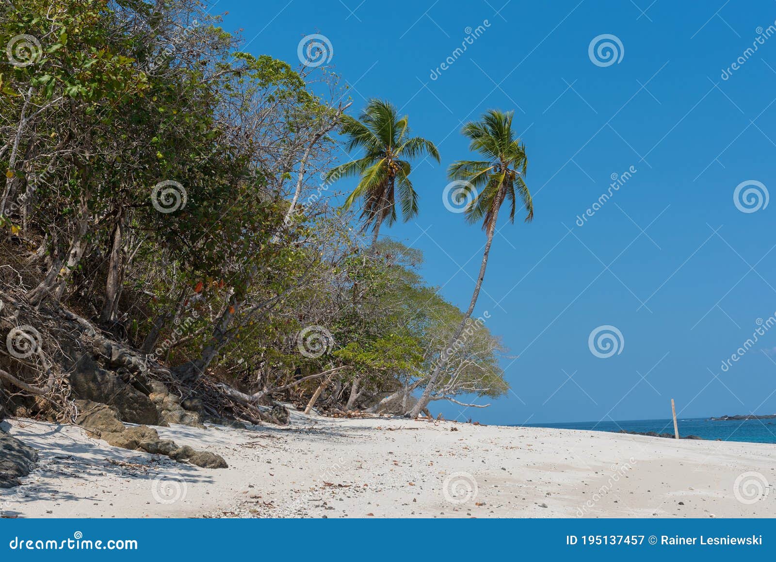 Playa Tropical En La Isla Cebaco De Panama Imagen de archivo - Imagen ...