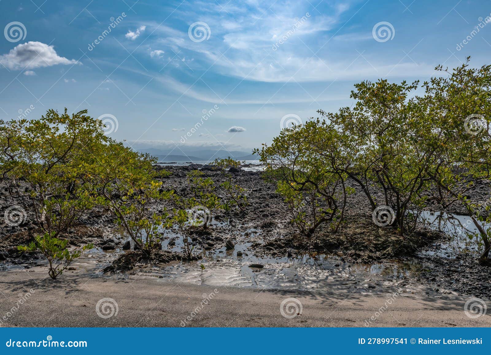 Playa Tropical En La Isla Cebaco De Panama Imagen de archivo - Imagen ...