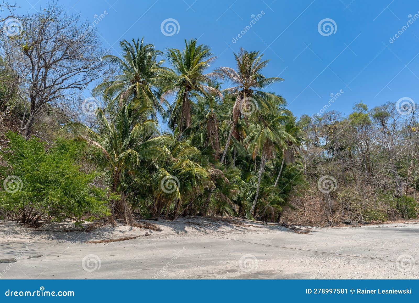 Playa Tropical En La Isla Cebaco De Panama Imagen de archivo - Imagen ...