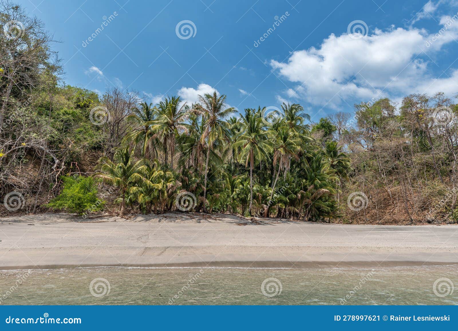 Playa Tropical En La Isla Cebaco De Panama Imagen de archivo - Imagen ...