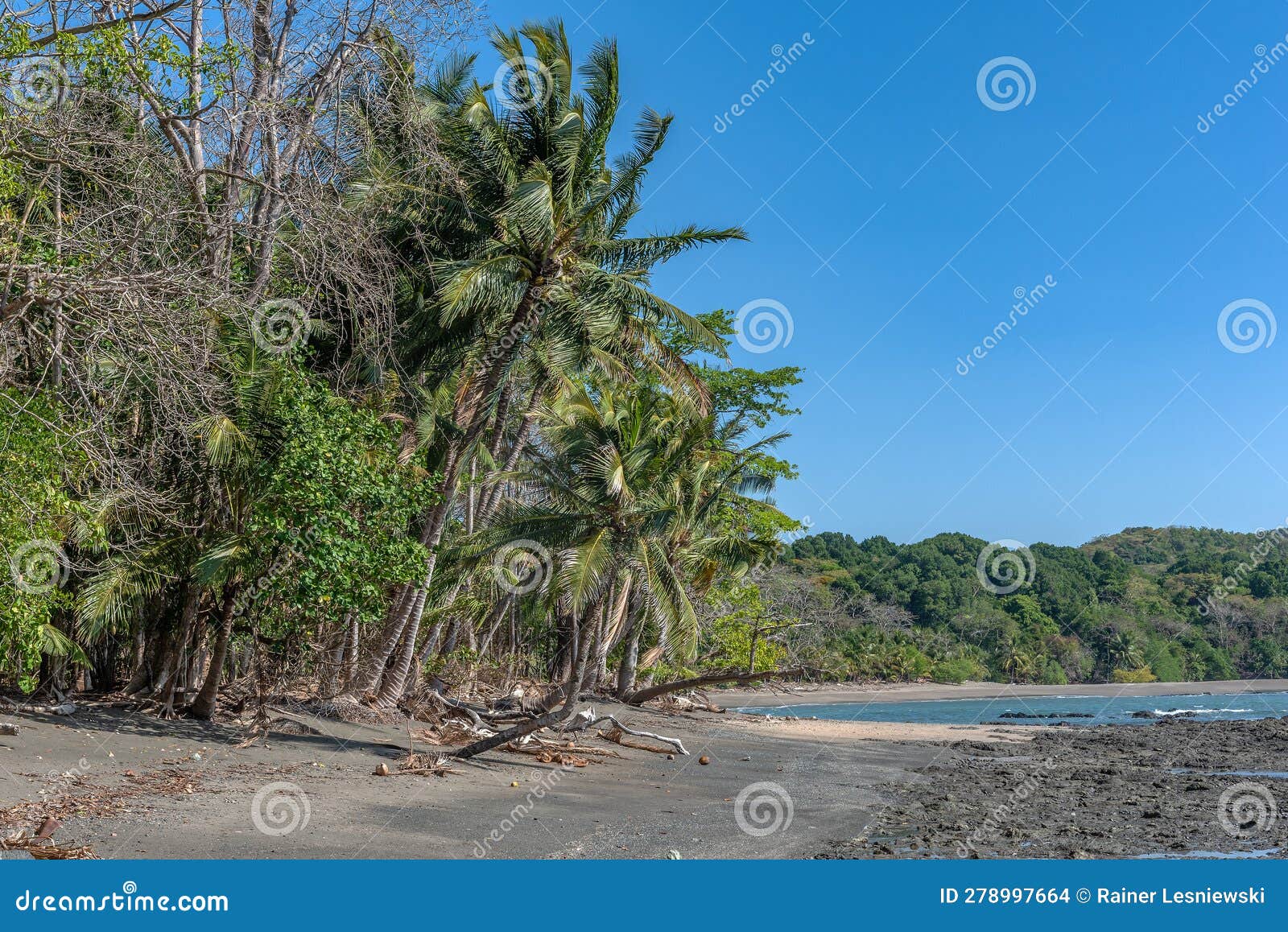 Playa Tropical En La Isla Cebaco De Panama Foto de archivo - Imagen de ...