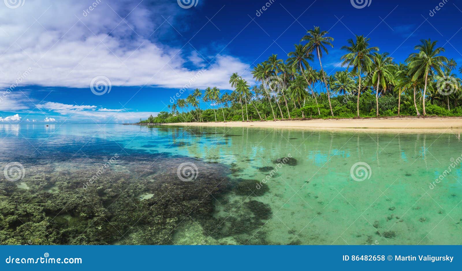 Playa Tropical En La Isla De Samoa Con Las Palmeras Foto de archivo ...