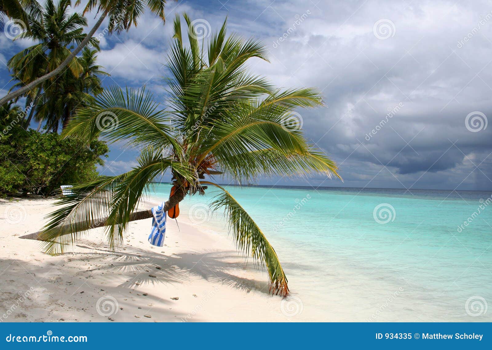 Playa y palmera de Sandy imagen de archivo. Imagen de hermoso - 934335