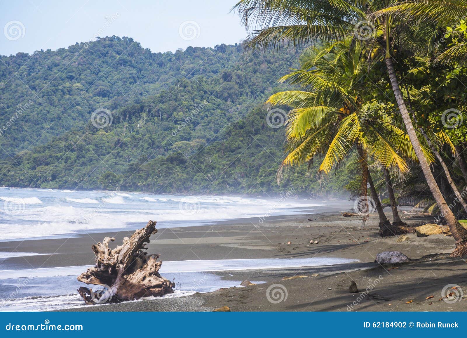 Playa Y Selva En Costa Rica Foto de archivo - Imagen de tropical, arena ...