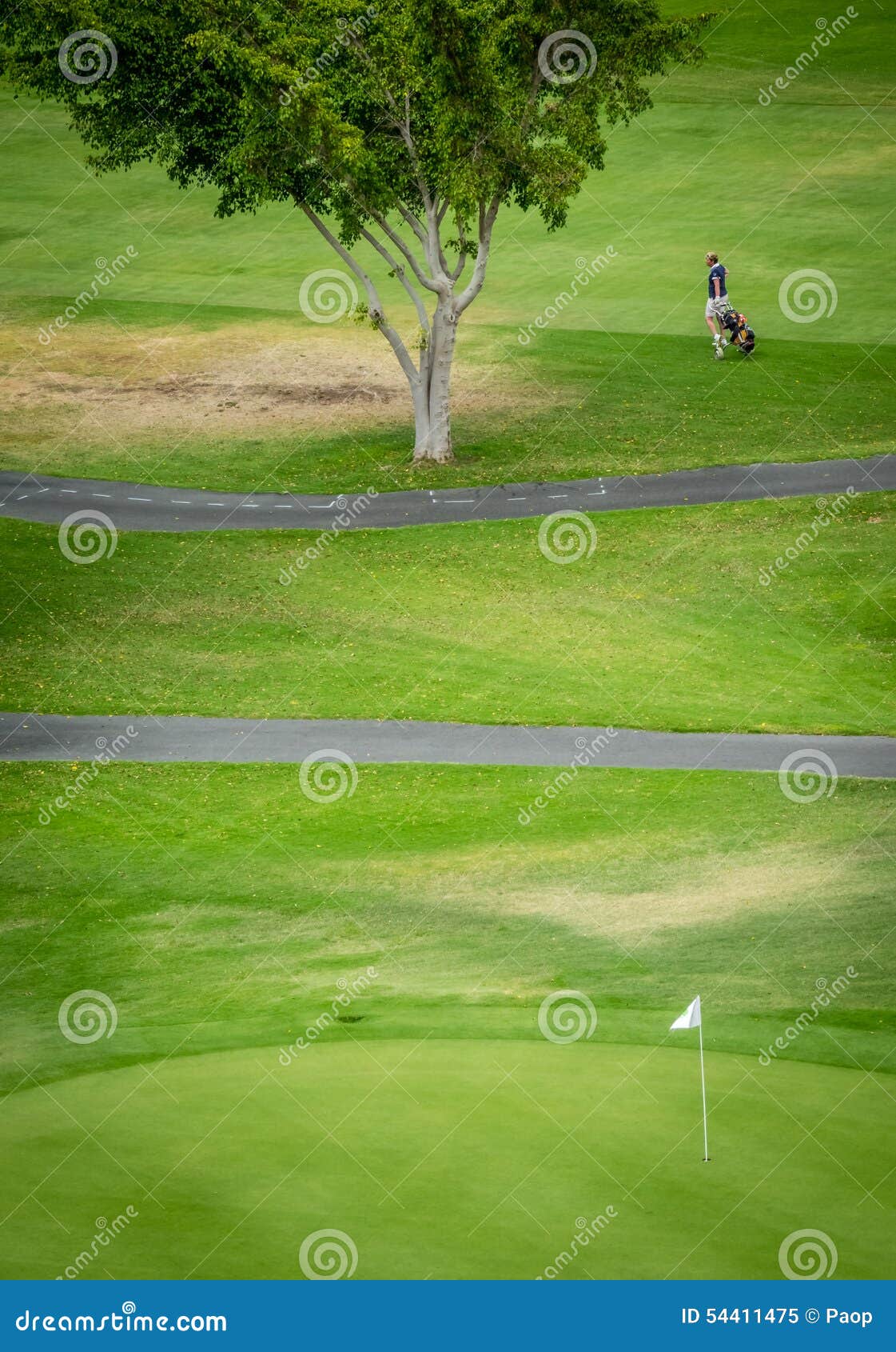 Player on golf course editorial image. Image of older - 54411475