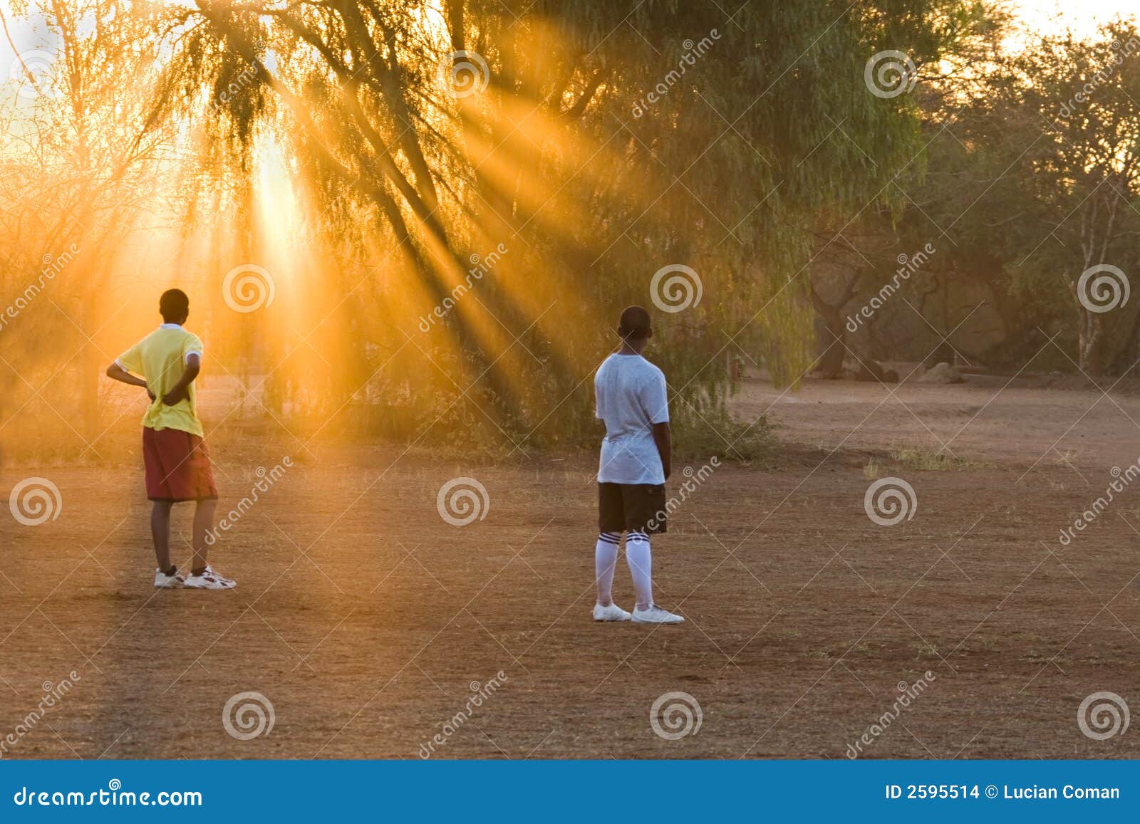 Players at the sunset stock photo. Image of soccer, green - 2595514
