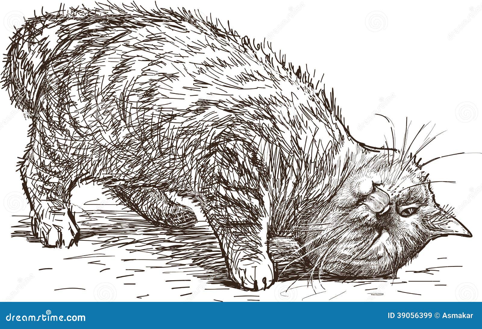 Playful cat stock vector. Illustration of nose, domestic - 39056399