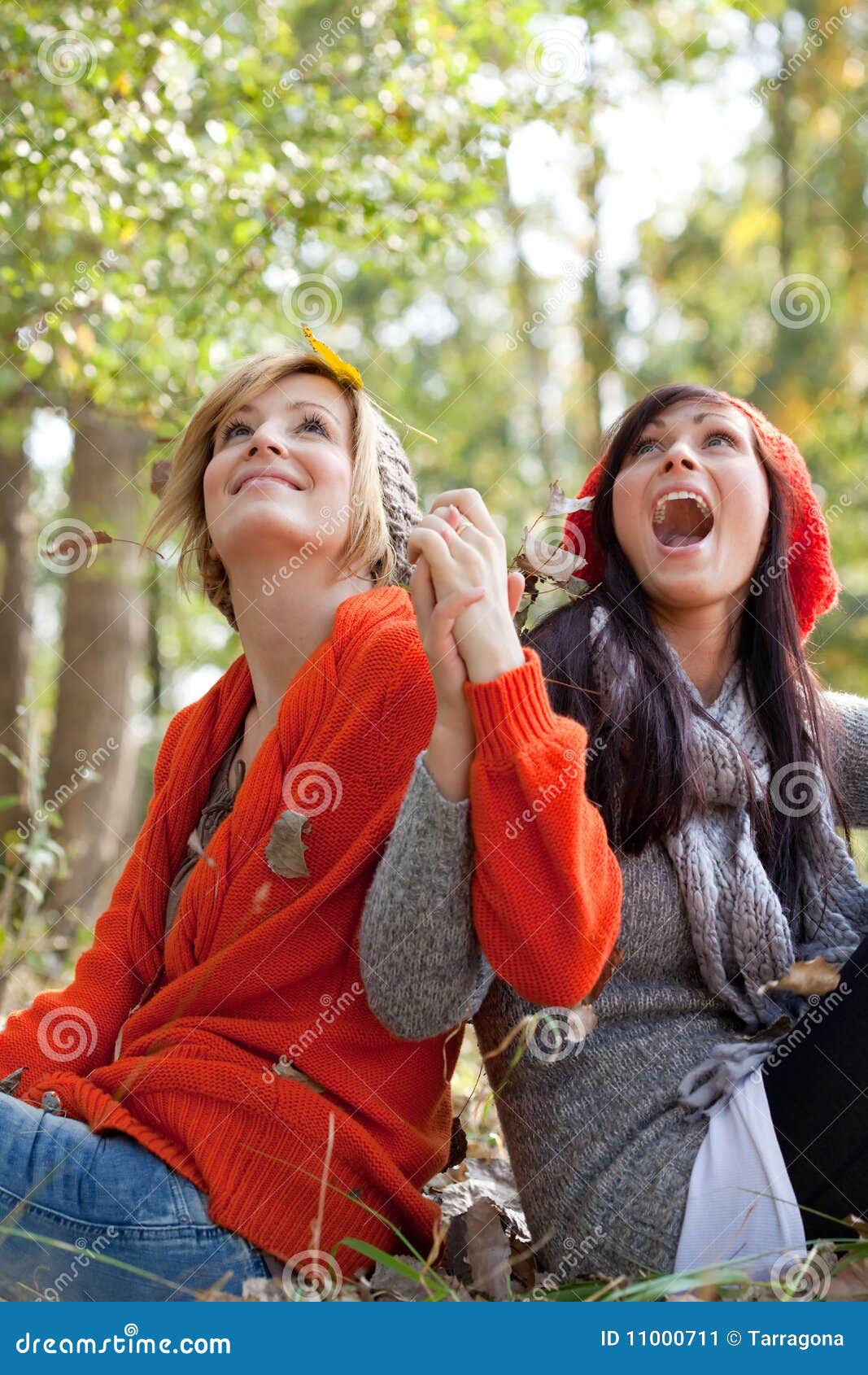 Playful friends pair stock image. Image of adult, leaf - 11000711