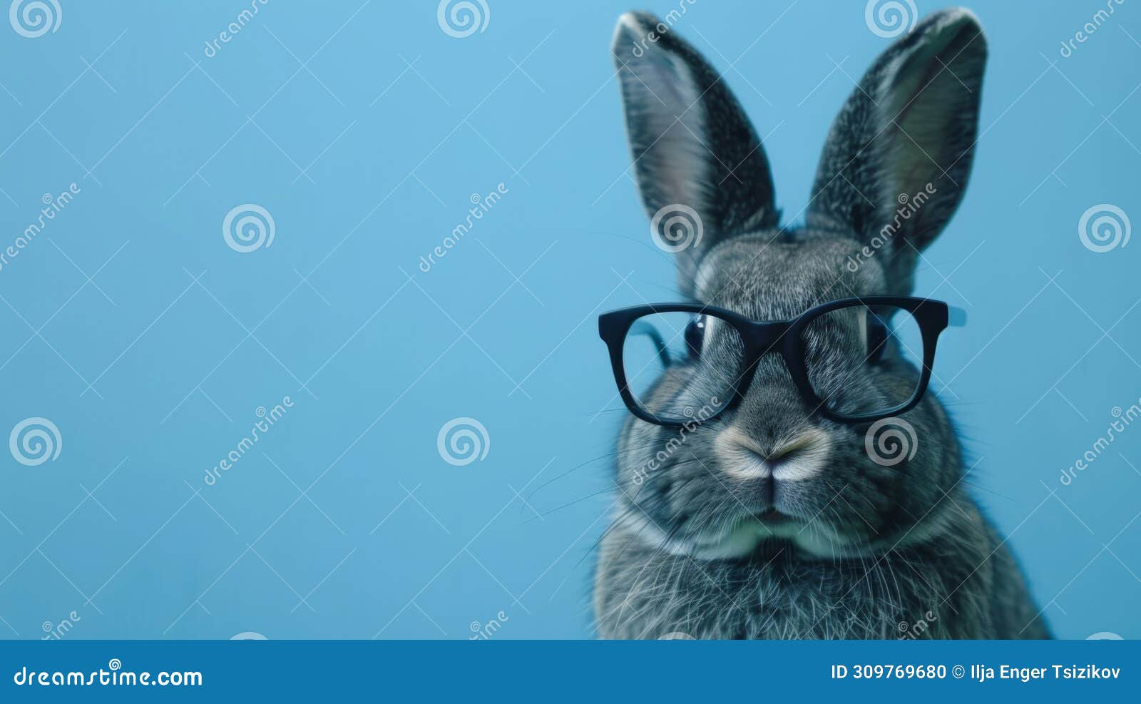 A Playful Rabbit In Sunglasses Relaxing In A Hot Tub With Bubbles Stock ...