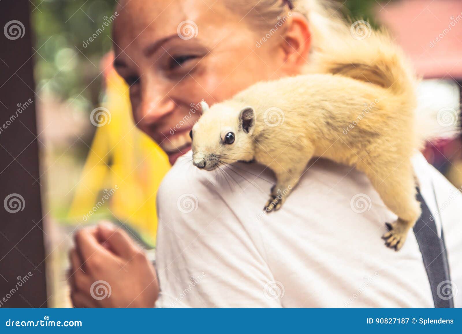 Playful Squirrel Playing with Smiling Woman on Shoulder Stock Image ...