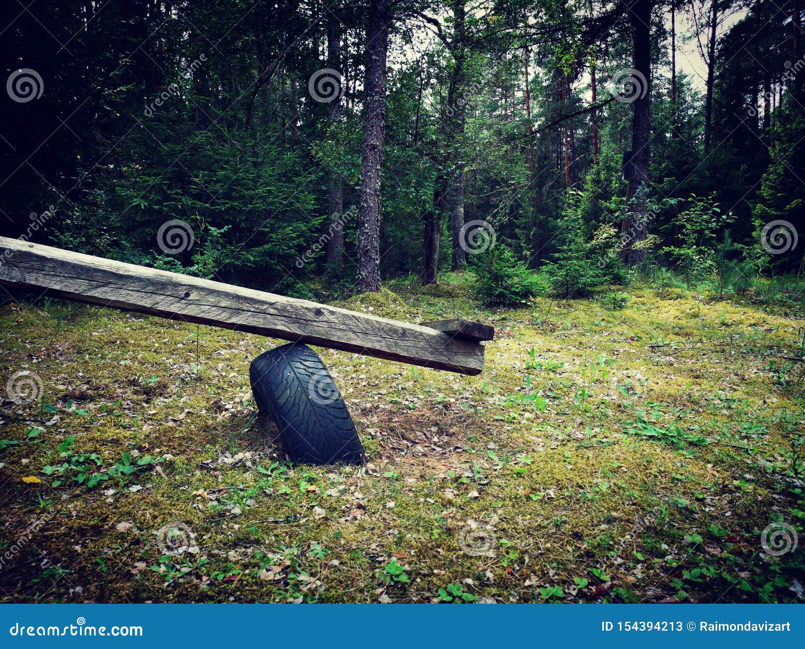 Tire use in the forest stock image. Image of grass, swing - 154394213