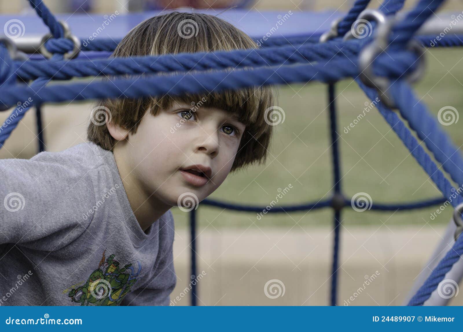 Playground fun with ropes stock image. Image of stare - 24489907