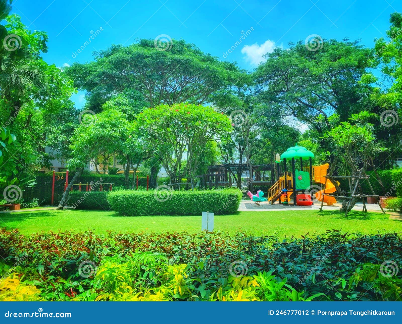 Playground stock photo. Image of nice, playground, trees - 246777012