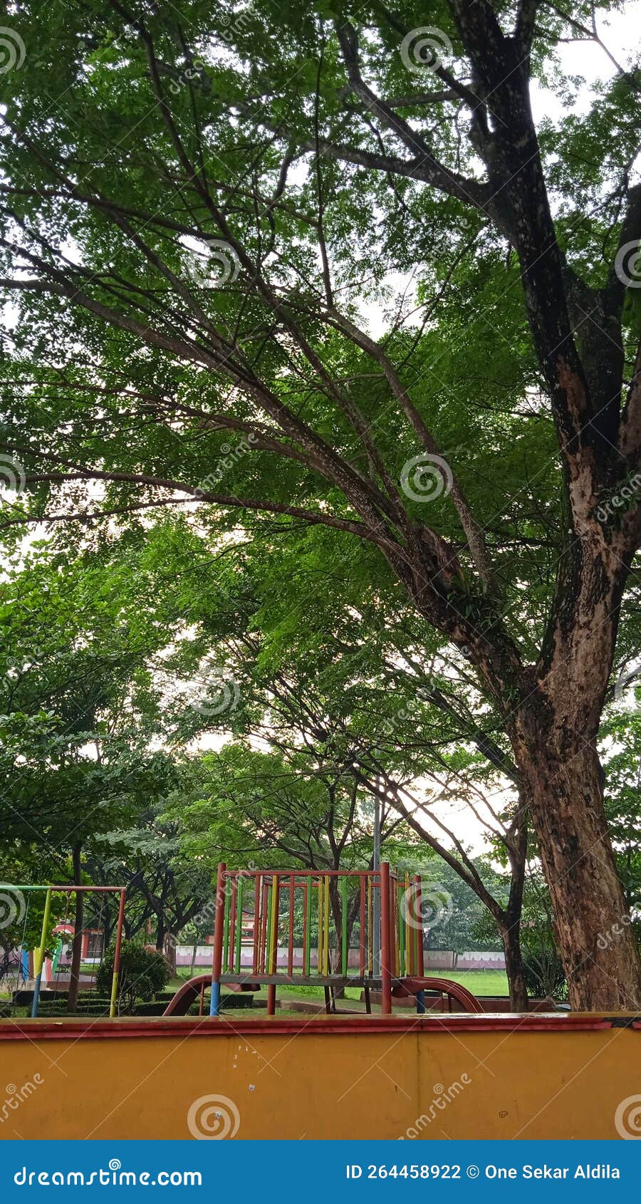 Playground with shady tree stock photo. Image of view - 264458922