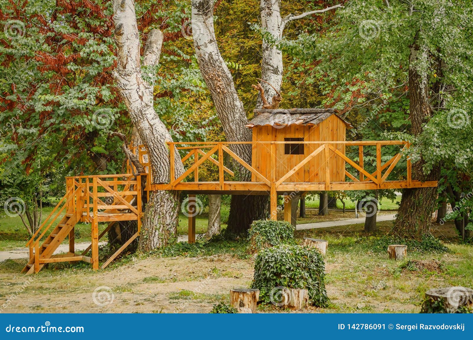 Playground between trees stock image. Image of playing - 142786091