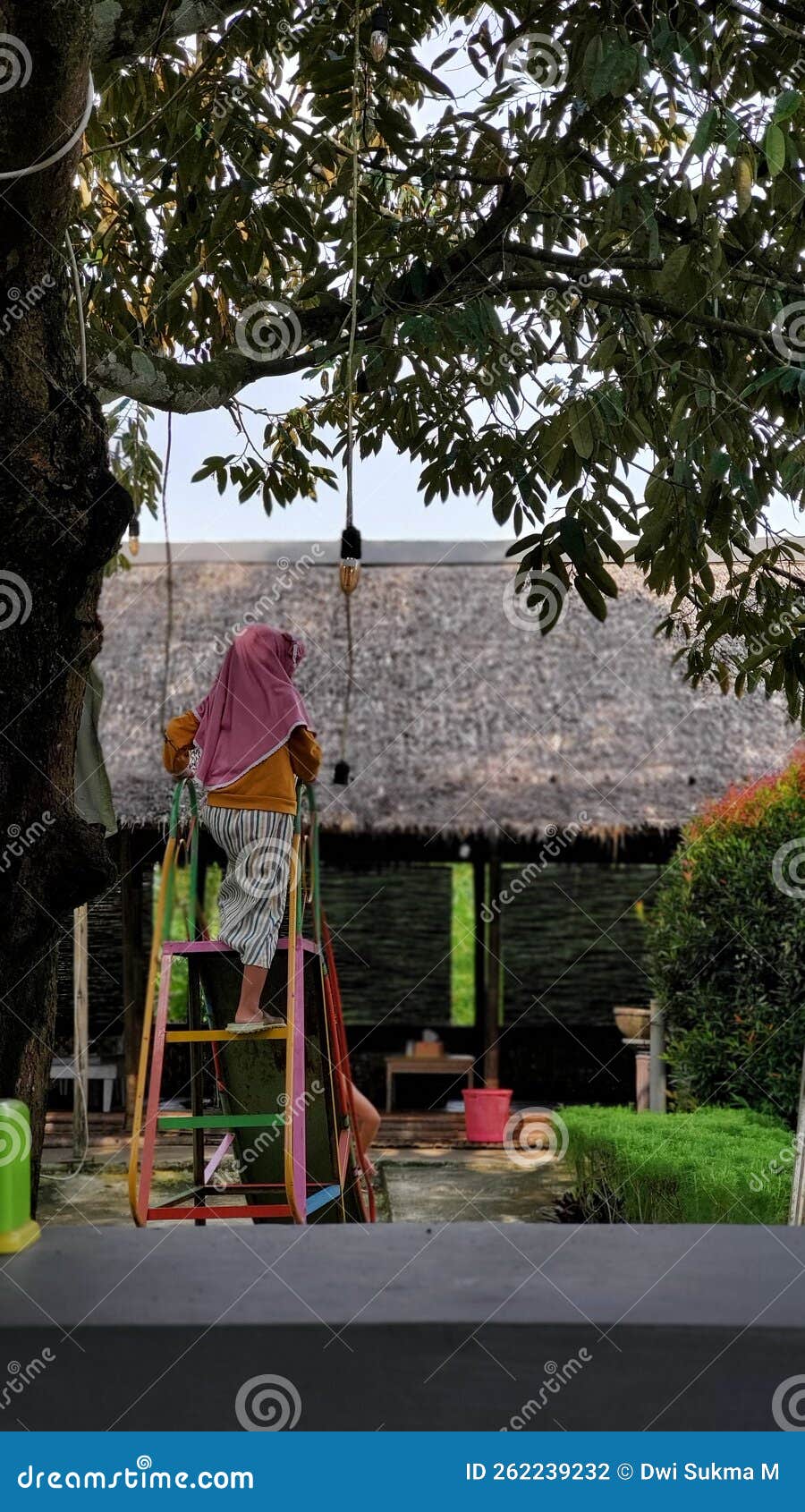 Playground whith bocil stock photo. Image of leaf, nature - 262239232