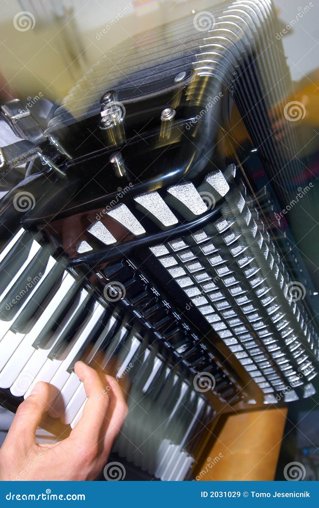 Playing accordion stock image. Image of playing, black - 2031029