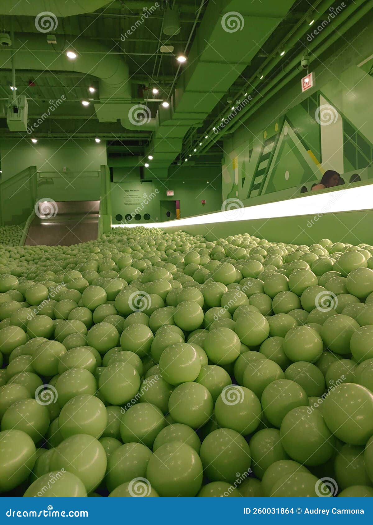 Playing at the ball pit stock photo. Image of plant - 260031864