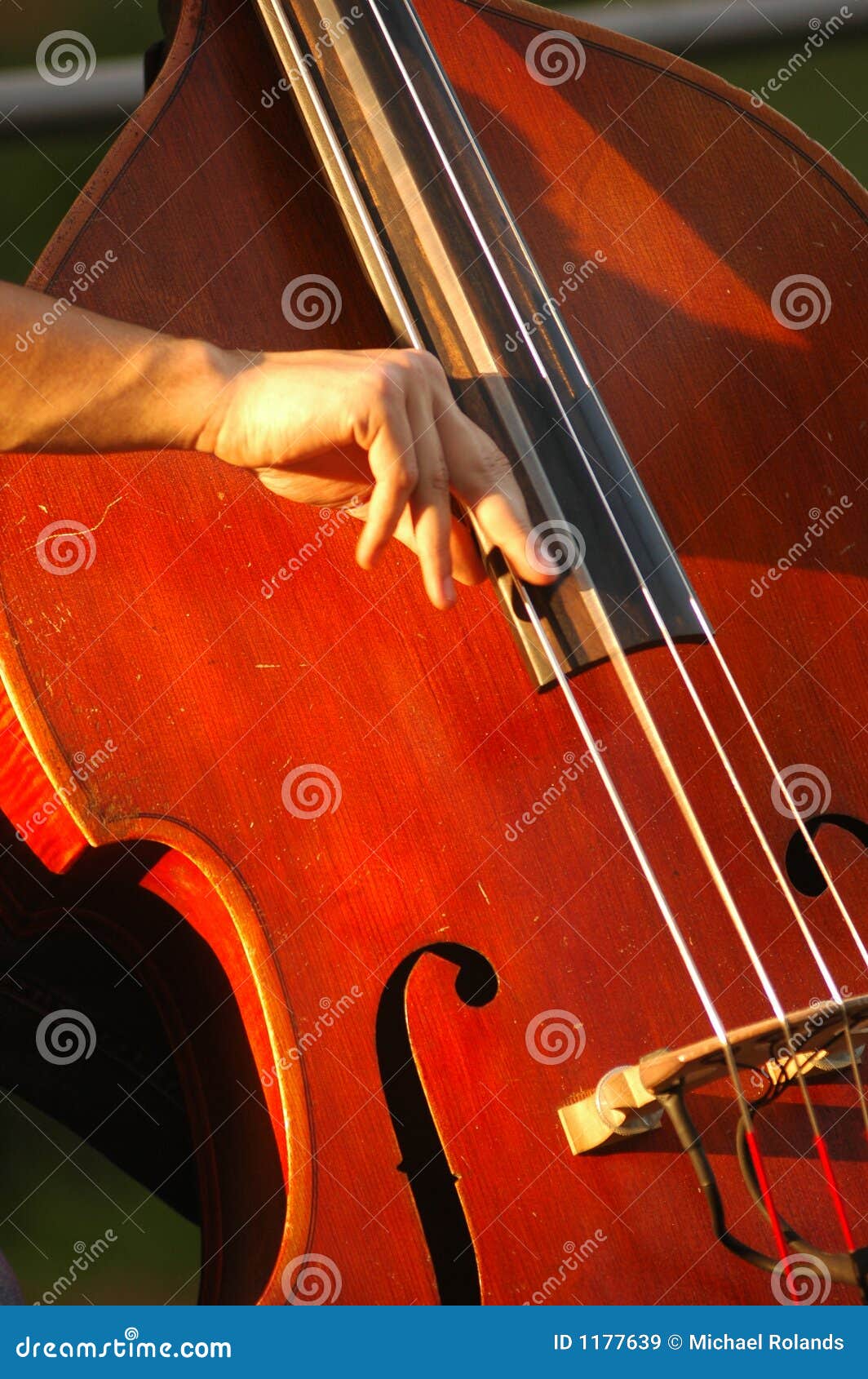 Playing bass stock image. Image of bass, strum, performance - 1177639