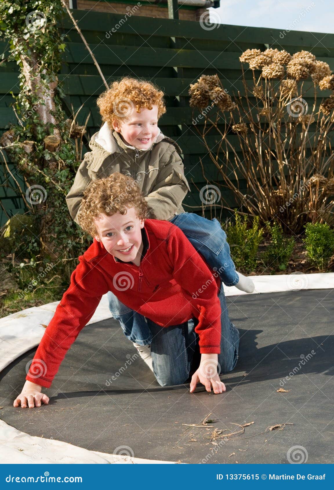 Playing Brothers stock image. Image of curly, outdoors - 13375615