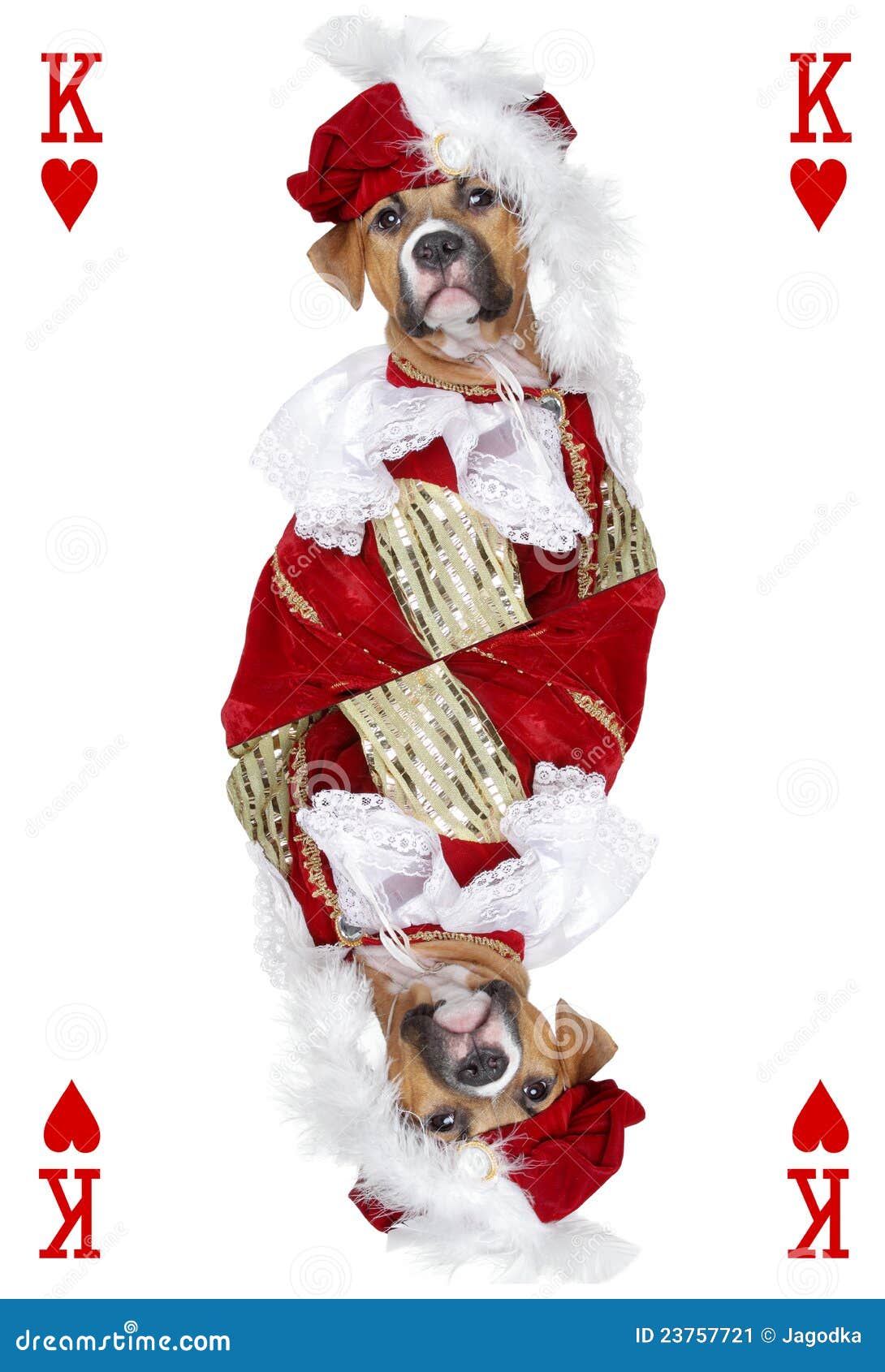 Dog Playing Cards Stock Illustrations – 243 Dog Playing Cards Stock ...