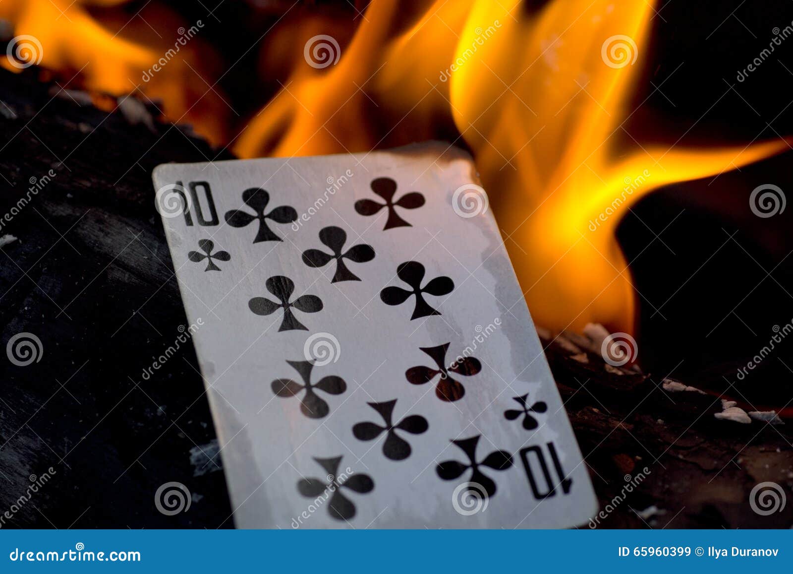 Playing card stock image. Image of game, combust, playing - 65960399