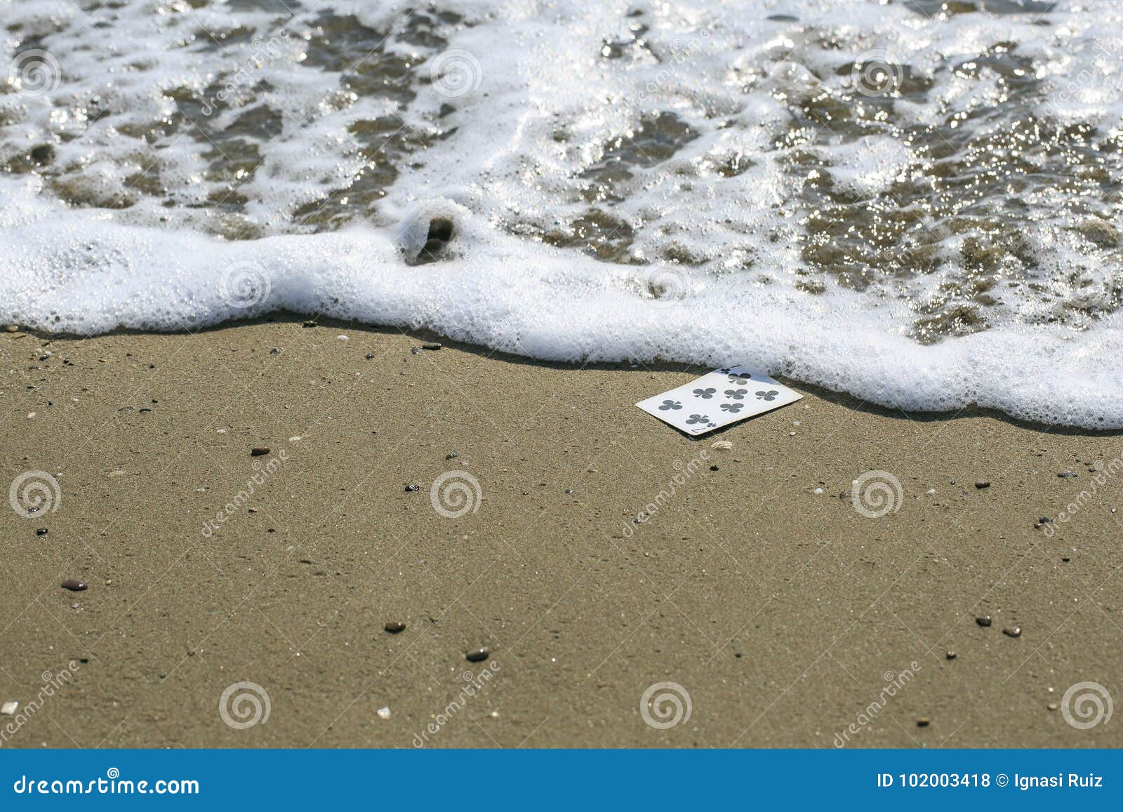 Playing cards in the beach stock photo. Image of leaf - 102003418