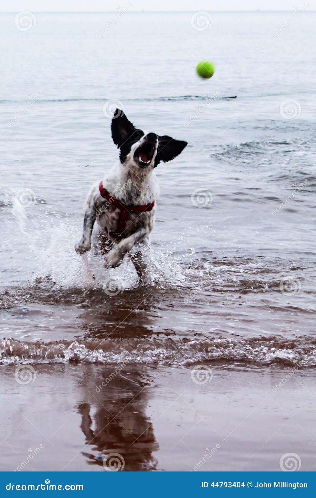 Playing catch stock photo. Image of powerful, action - 44793404