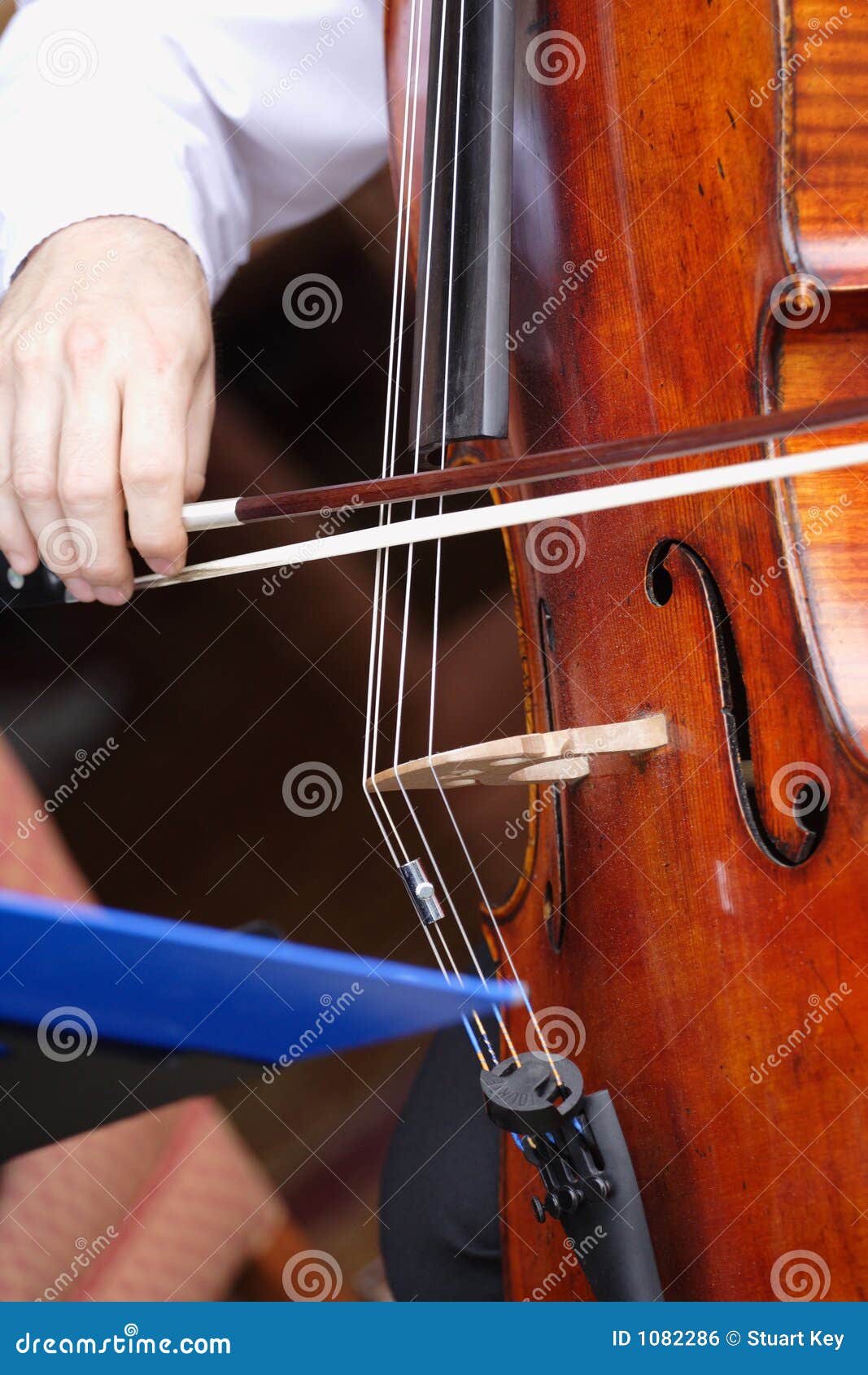 Playing the cello stock photo. Image of musician, bridge - 1082286