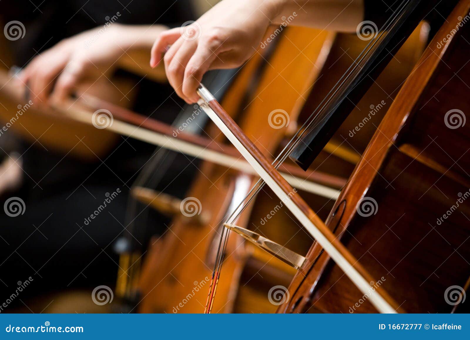 Playing Cello stock image. Image of entertainment, strings - 16672777