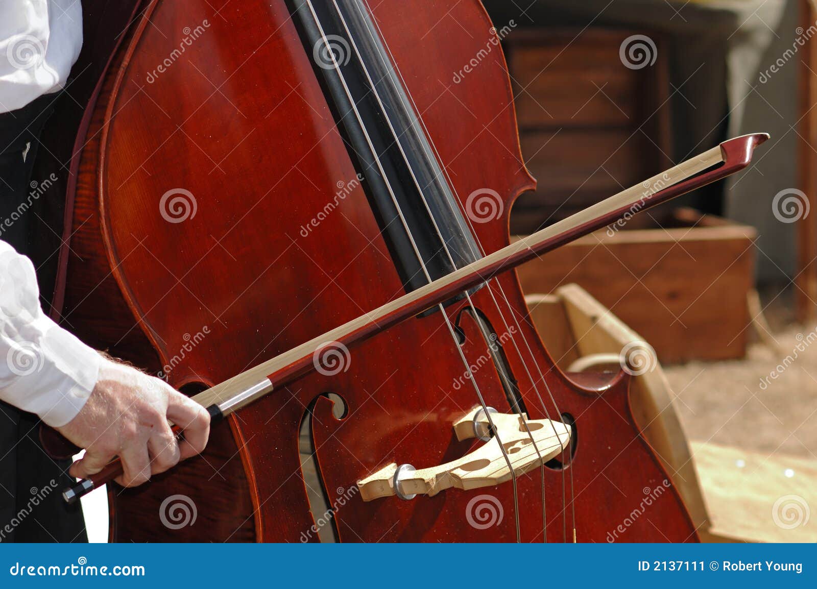 Playing the cello stock image. Image of cello, troup, musician - 2137111