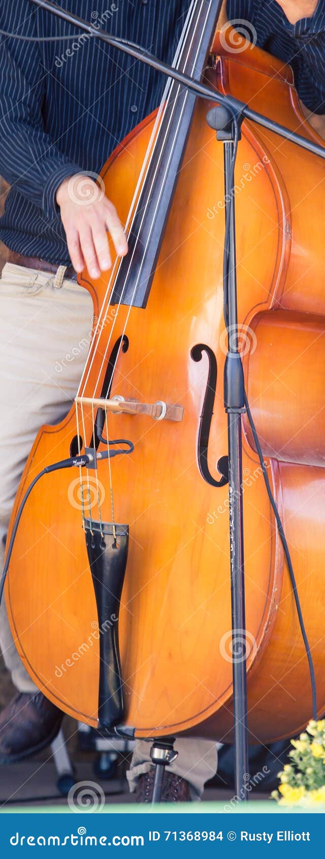Playing the cello stock photo. Image of united, fingers - 71368984