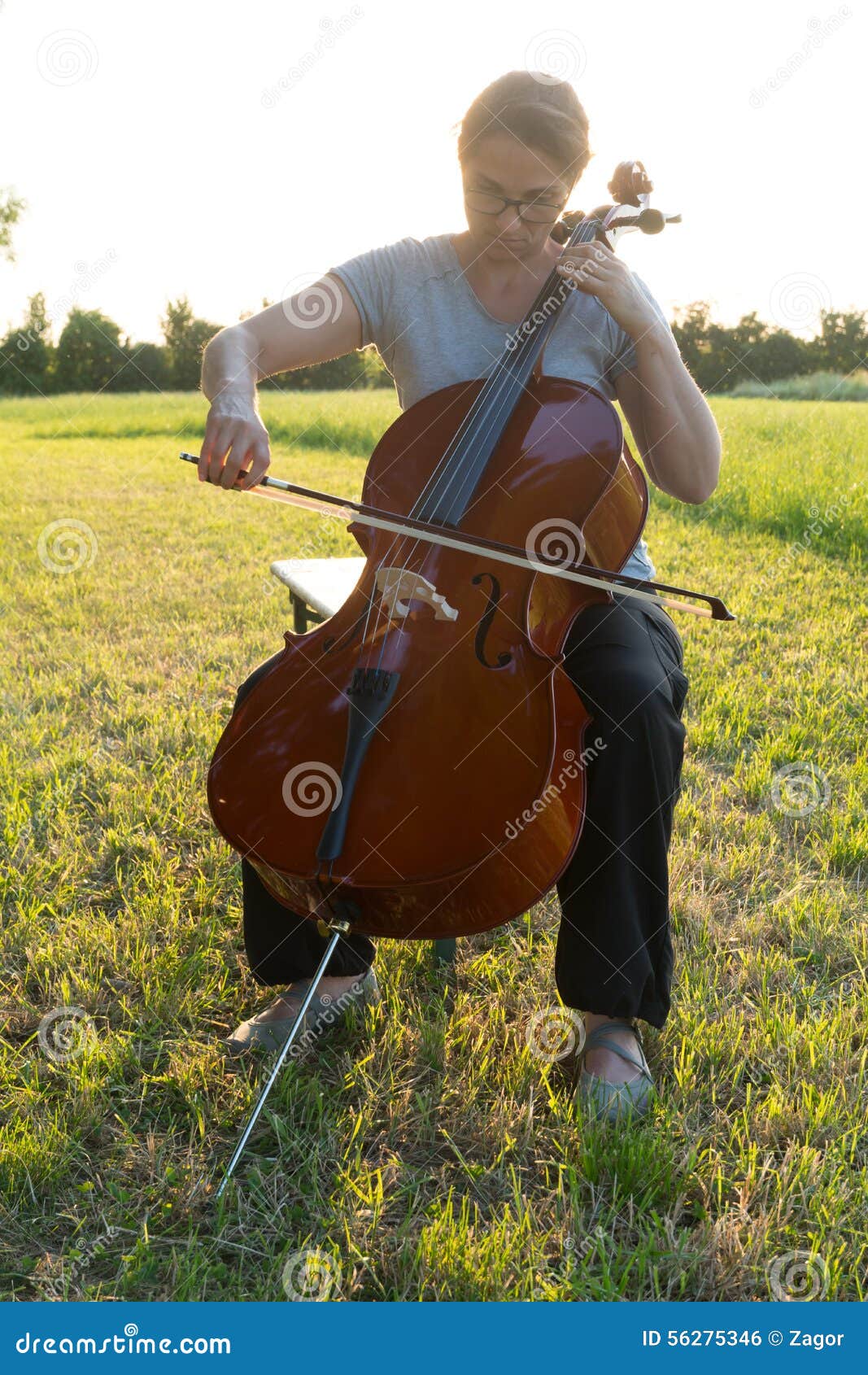 Playing the Cello on the Meadow Stock Photo - Image of beautiful ...
