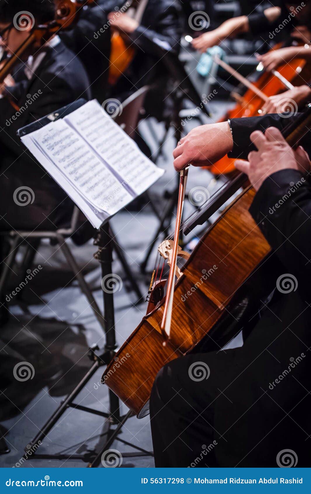 Playing Chello editorial stock photo. Image of string - 56317298