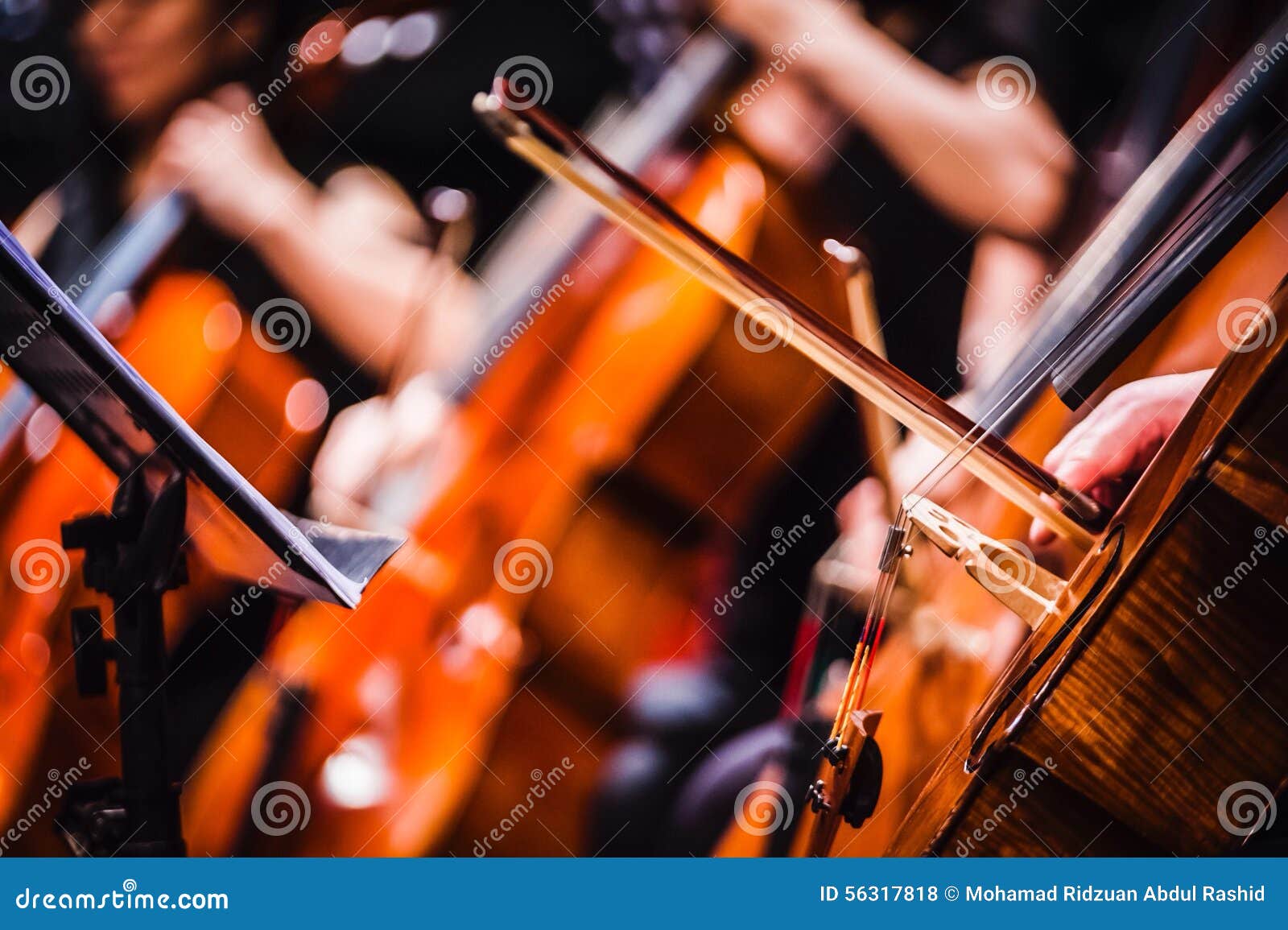 Playing Chello stock photo. Image of industry, instruments - 56317818