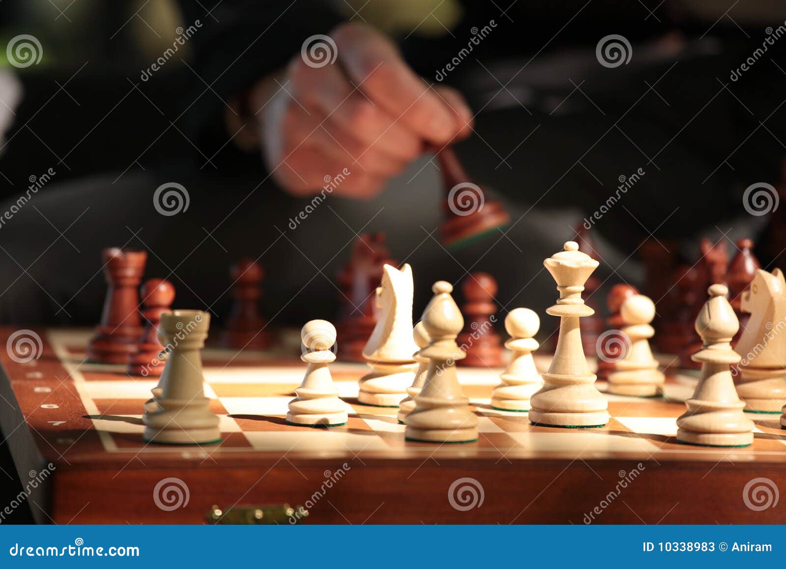 Playing chess stock image. Image of relaxing, check, winning - 10338983