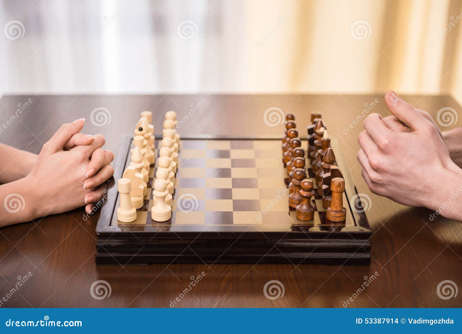 Playing chess stock photo. Image of check, game, move - 53387914