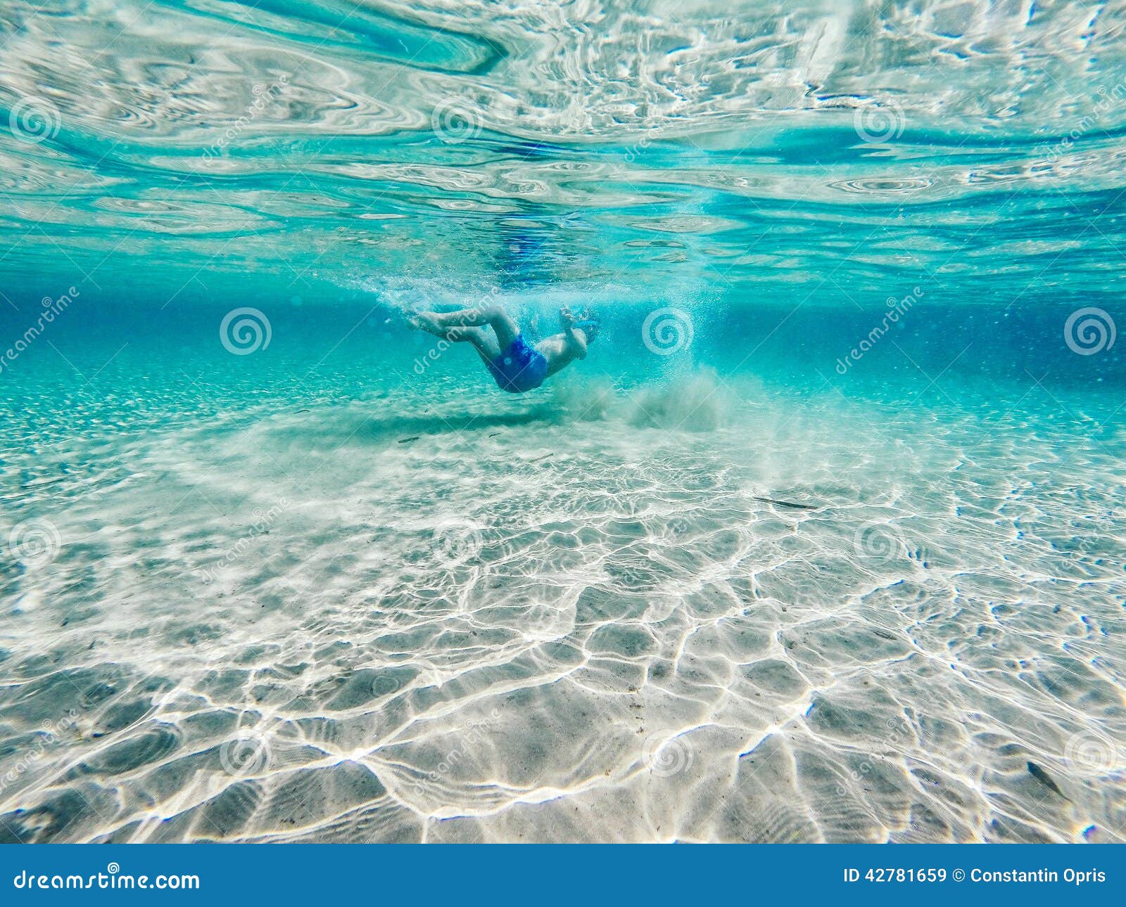 Playing in Clear Blue Water Stock Image - Image of leisure ...