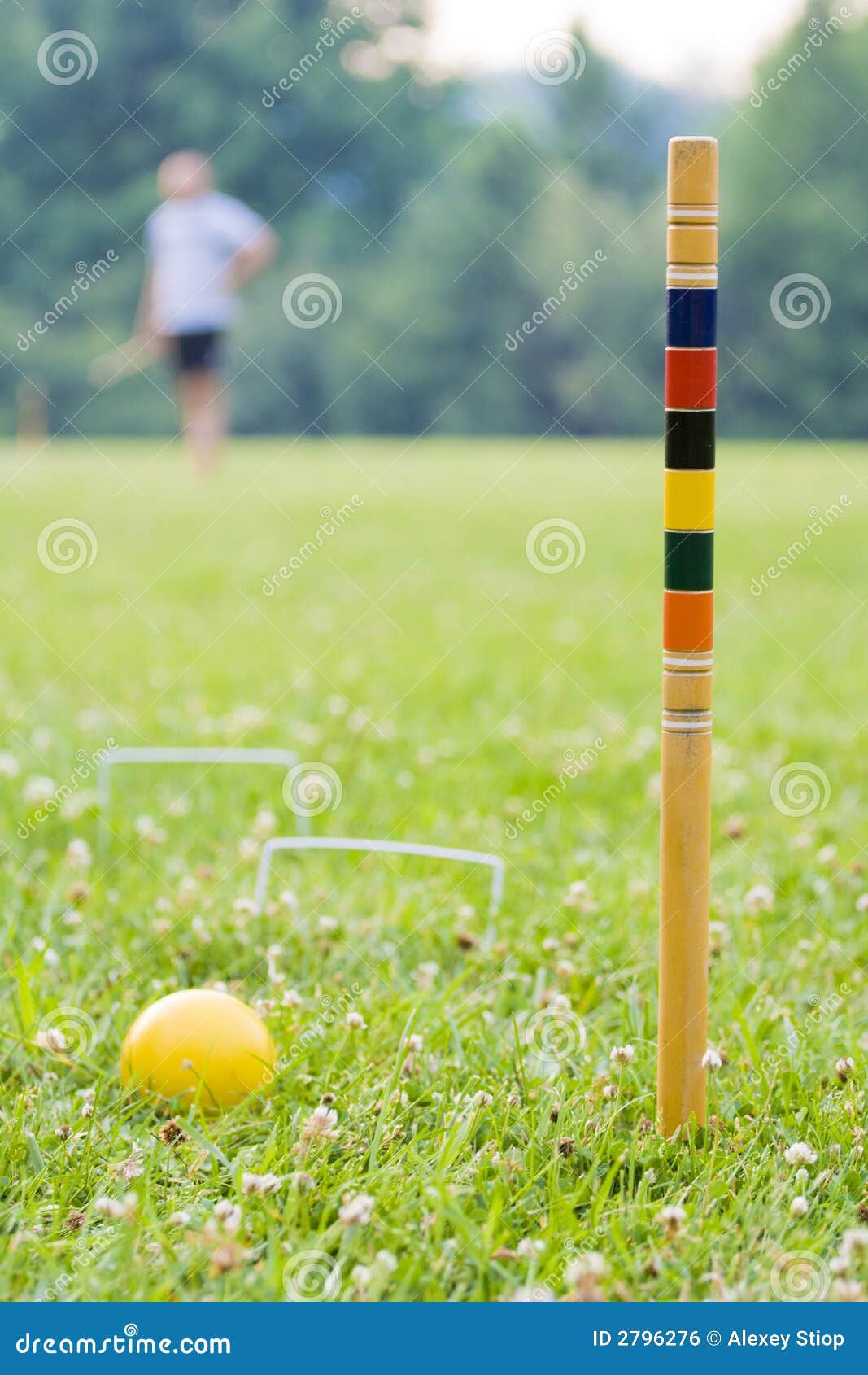 Playing croquet II stock photo. Image of croquet, court - 2796276