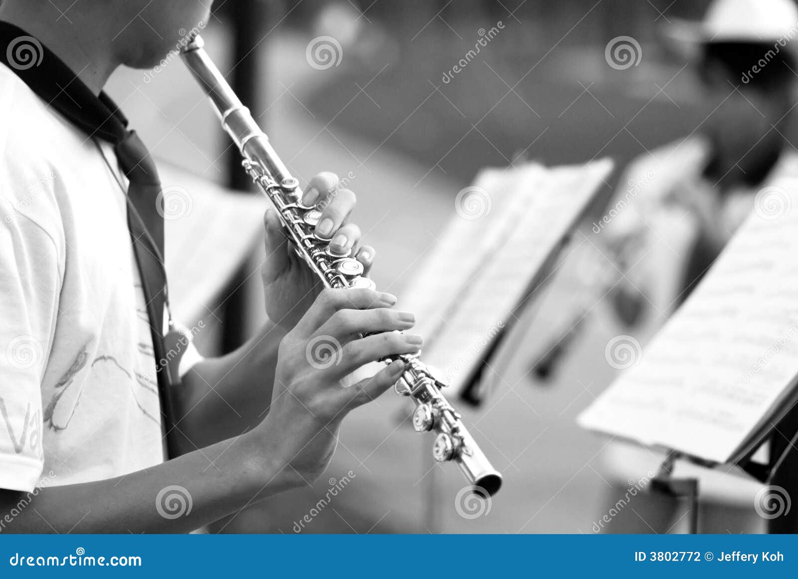 Playing The Flute Picture. Image: 3802772