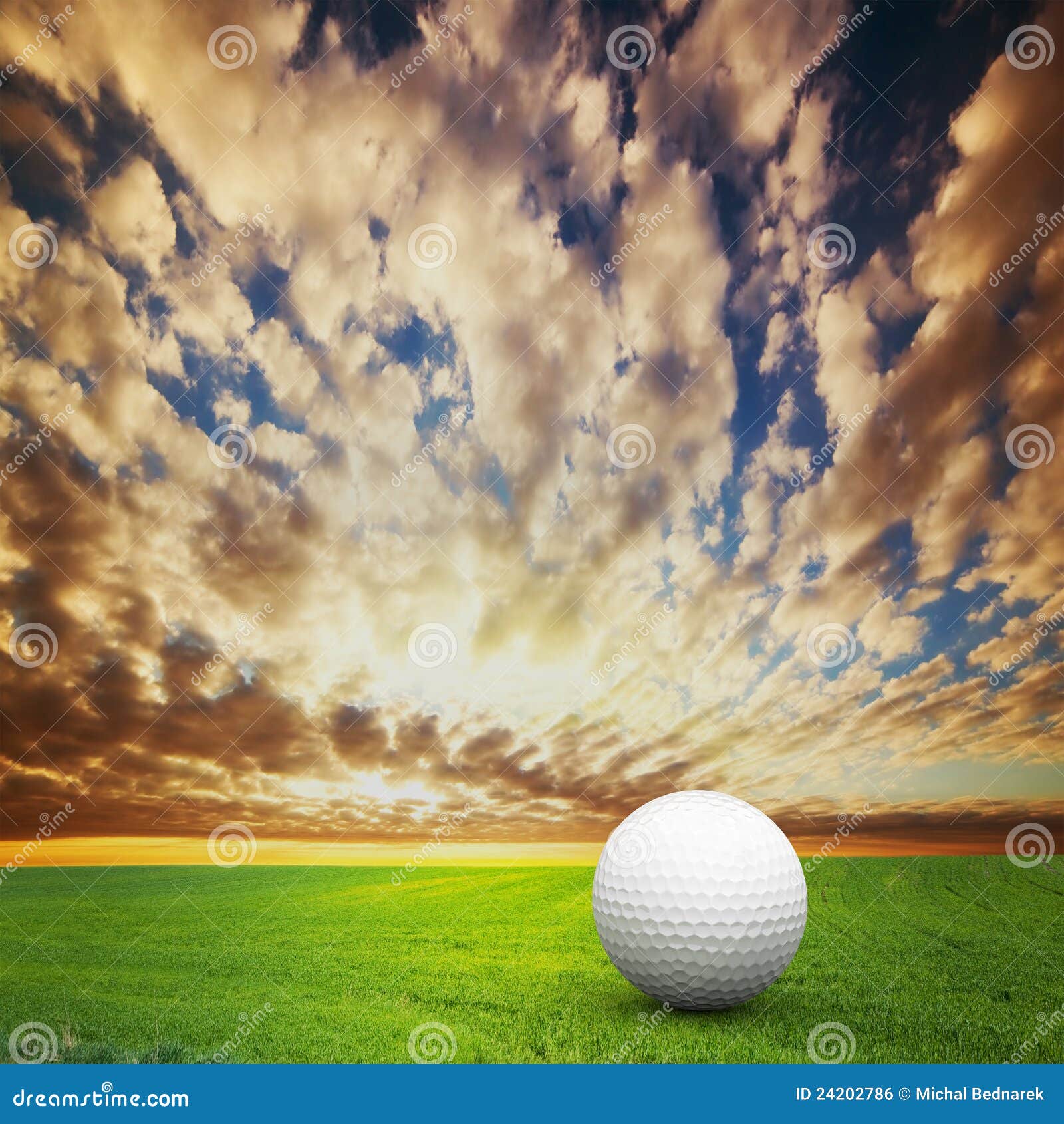 Playing Golf. Ball on Golf Field Stock Photo - Image of leisure ...