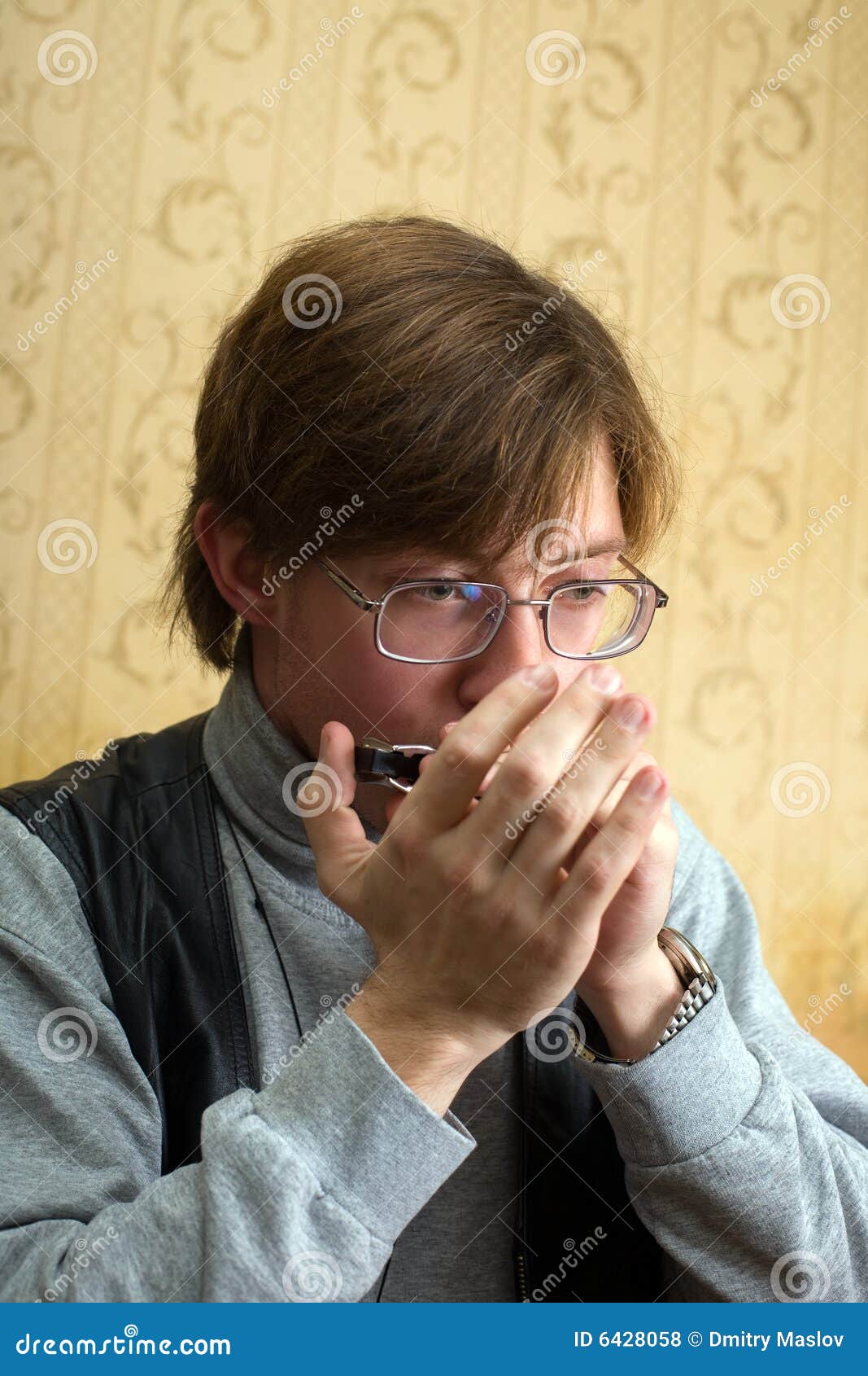 Playing the harmonica stock photo. Image of blues, wallpapers - 6428058