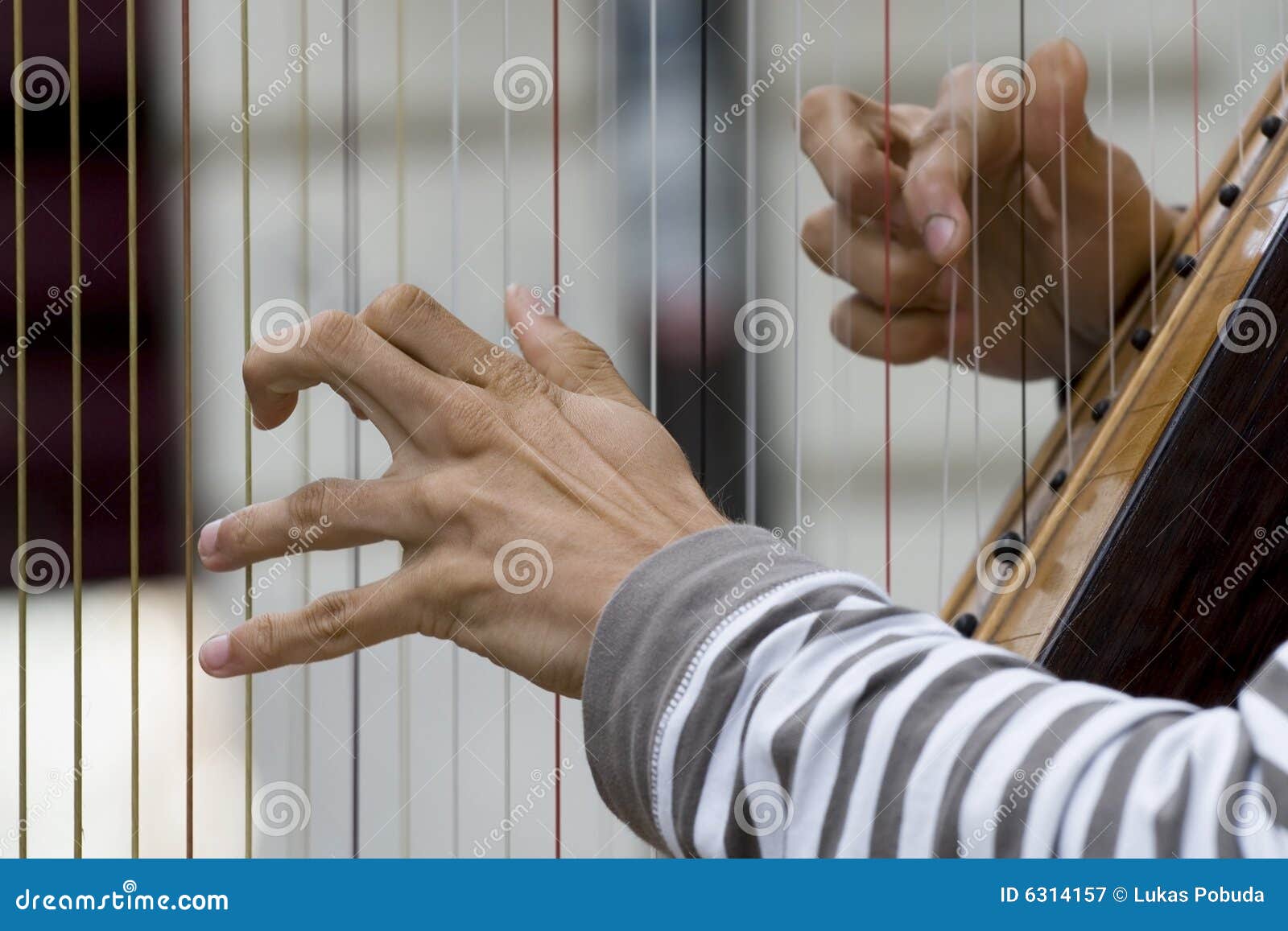 Playing the harp stock image. Image of harper, hist, musician - 6314157