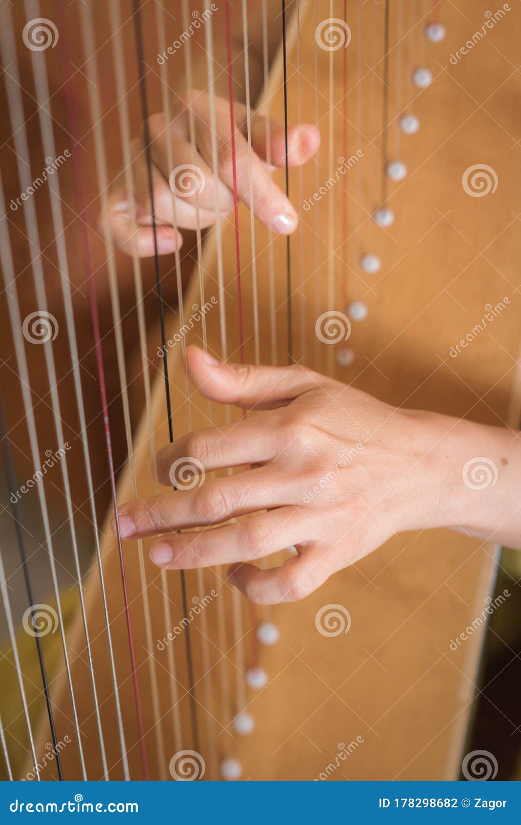 Playing the harp stock photo. Image of melody, sweet - 178298682