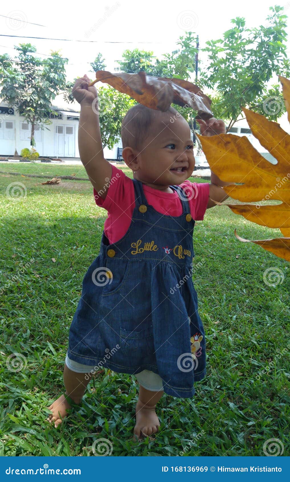 Playing leaf in the garden stock image. Image of playing - 168136969