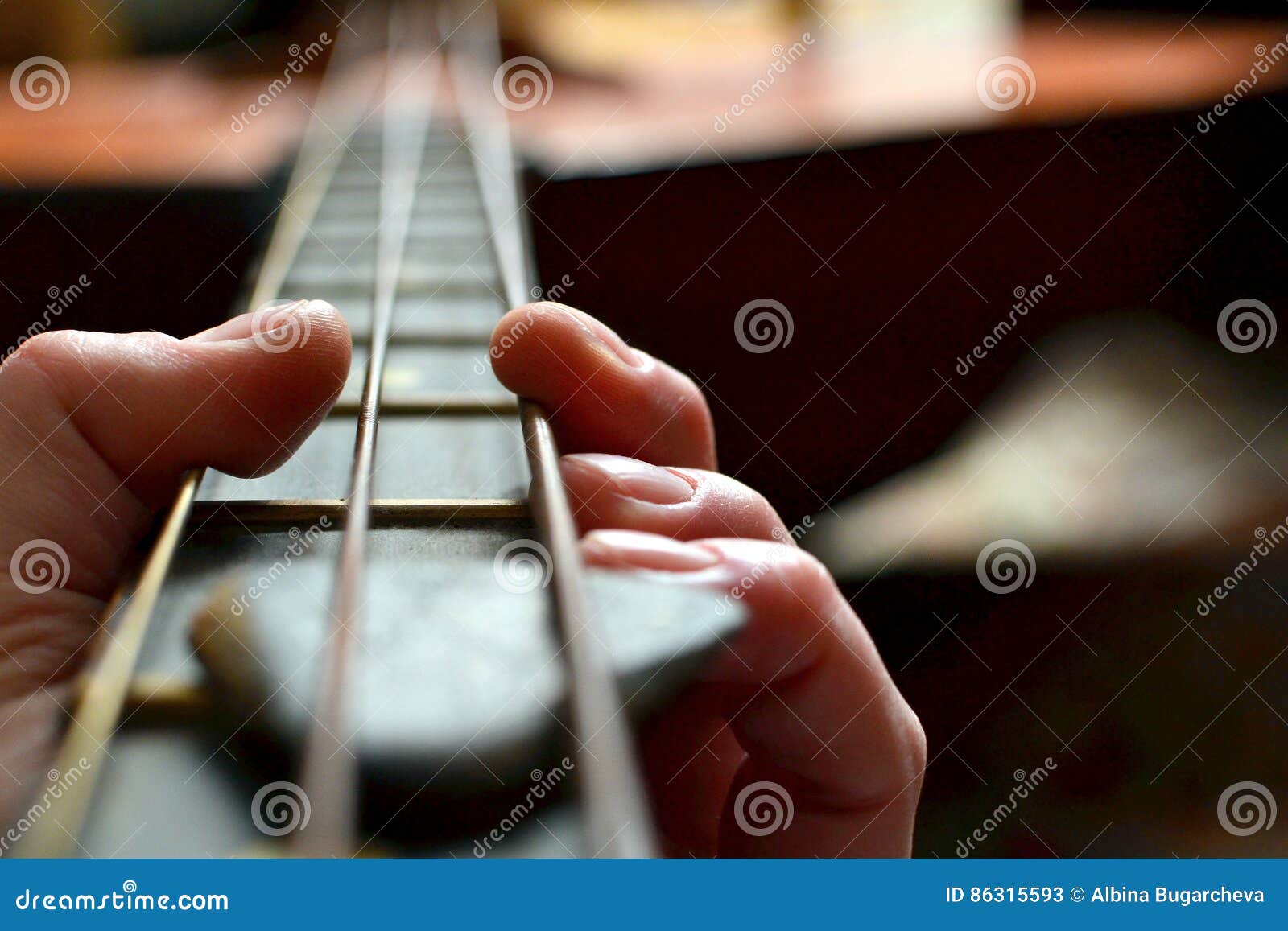 Playing a Musical Instrument Stock Image - Image of strings, musical ...
