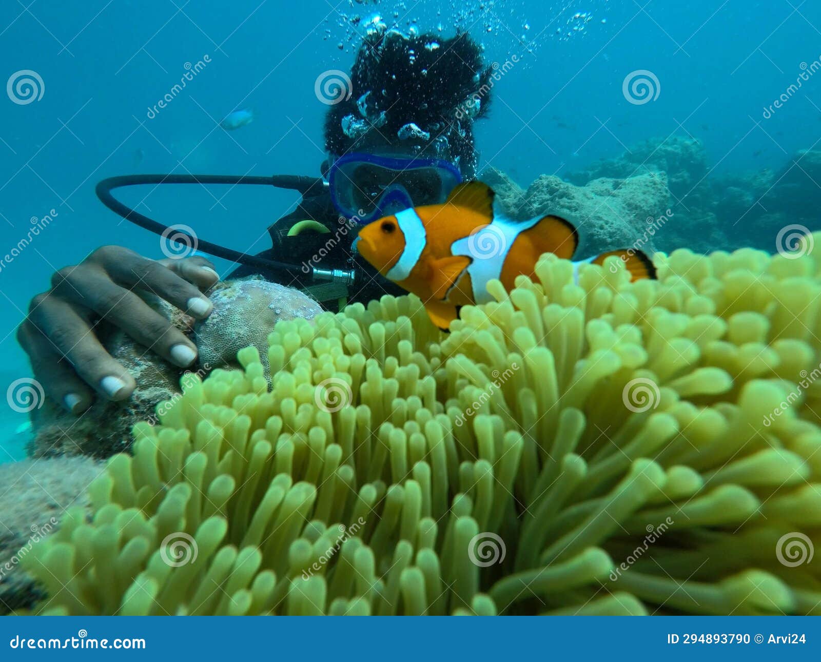 Playing with Nemo Fish Under the Water Stock Photo - Image of vacation ...