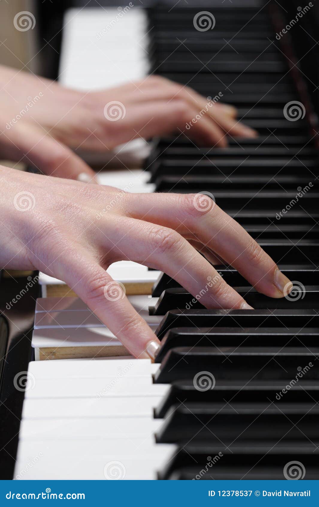 Playing piano stock image. Image of hands, playing, black - 12378537