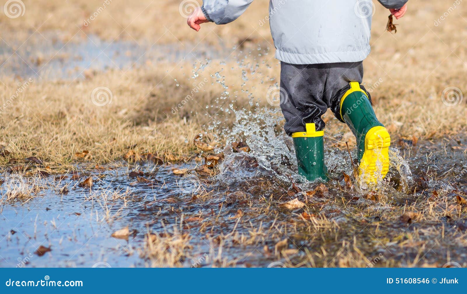 Playing in Puddles stock photo. Image of color, natural - 51608546